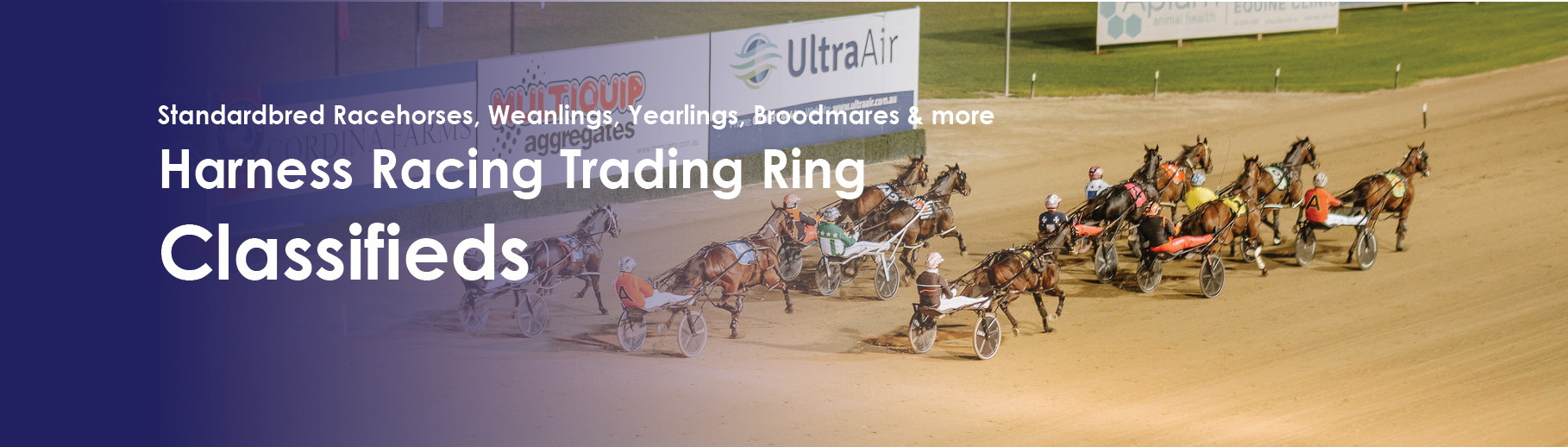 Harness Racing Trading Ring Australia - Buy and sell standardbred ...